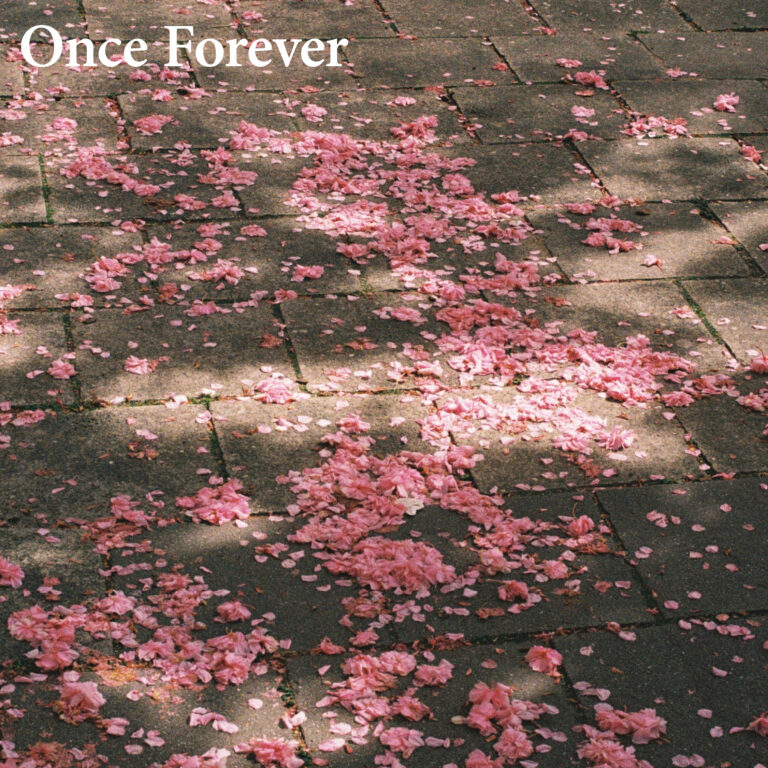 WOOLVS – Once Forever (On The Level) – Luminous Dash BE