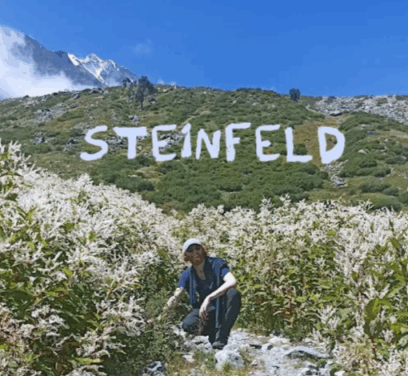 VI.BE-TIP VAN DE WEEK: STEINFELD – Luminous Dash BE