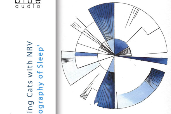 ÃO KONDIGT NIEUWE SINGLE AAN – Luminous Dash BE